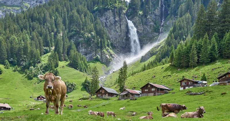 En direct de l’USP n°49 - 2025