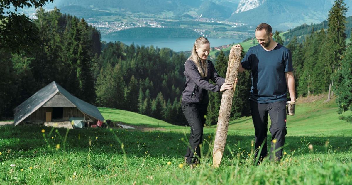 SBV-News Nr. 40-2025