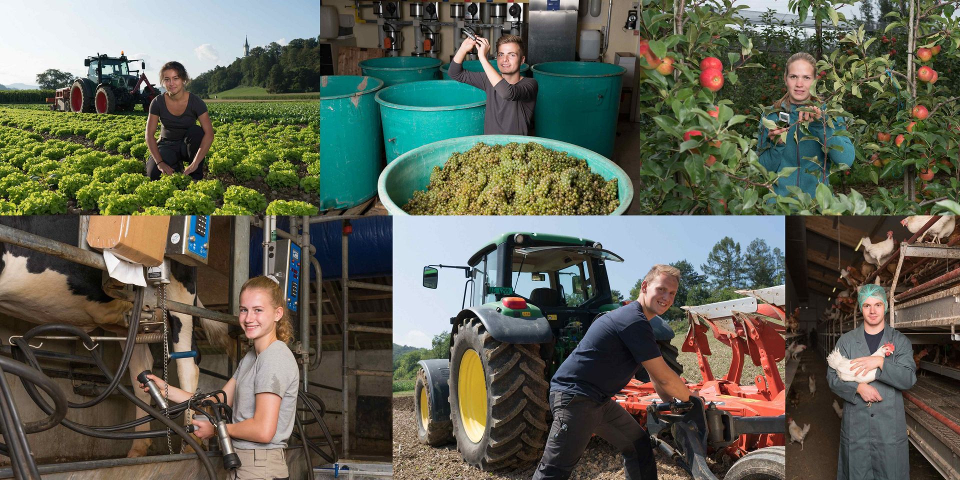 Schweizer Bauernverband - Im Dienste der Schweizer Landwirtschaft